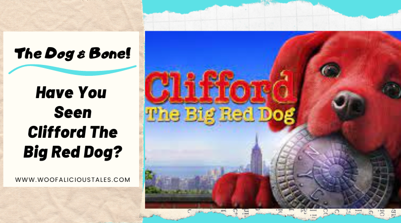 Have You Seen - Clifford The Big Red Dog? - Woofalicious Tales