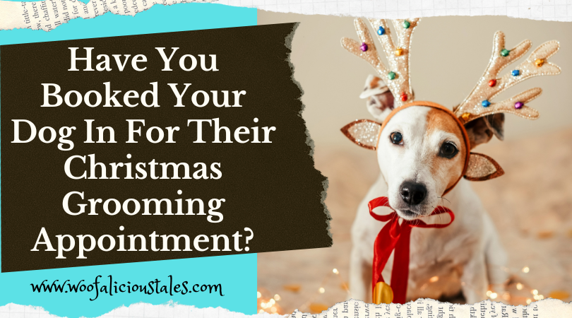 Have You Booked Your Dog In For Their Christmas Grooming Appointment ...