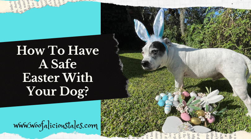 How To Have A Safe Easter With Your Dog! - Woofalicious Tales