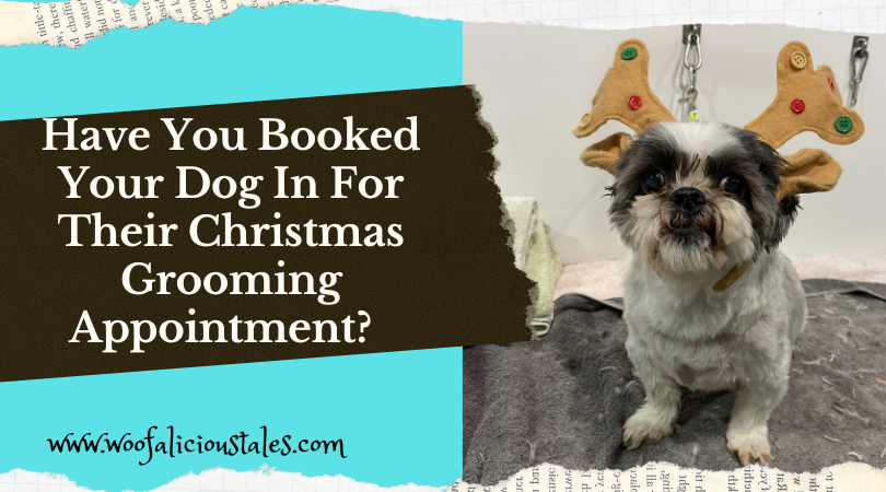 Have You Booked Your Dog In For Their Christmas Grooming Appointment ...