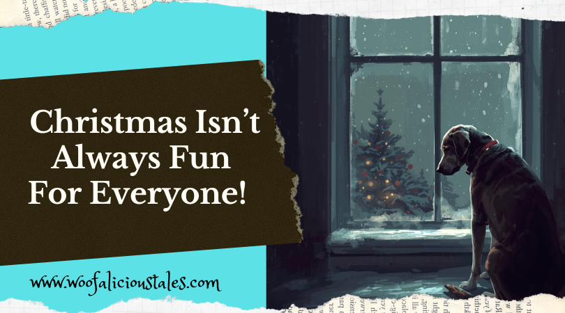 Christmas Isn't Always Fun For Everyone! - Woofalicious Tales